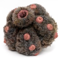 Felt Gathering 2025 – Fiona Duthie